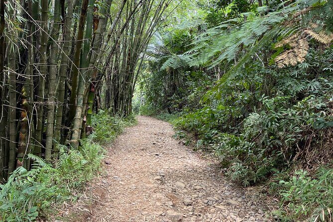 Small Group El Yunque Half Day Tour with Transport: Waterslide - Pricing and Overall Value