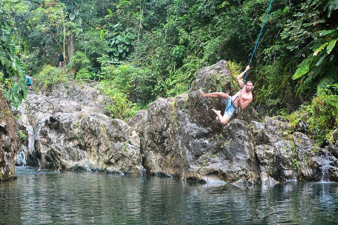 Small-Group El Yunque Rainforest Vivid Day Tour with Transport - Transportation and Timing: Early Mornings and Logistics