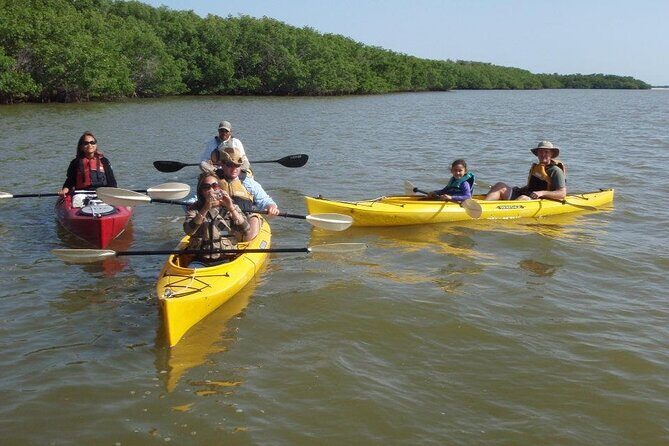Small-Group Everglades Boating Kayaking and Walking Eco Tour - What to Expect from the Everglades Eco Tour
