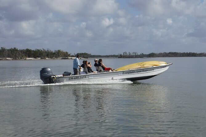 Small-Group Everglades Boating Kayaking and Walking Eco Tour - Final Thoughts: Who Will Love This Tour?