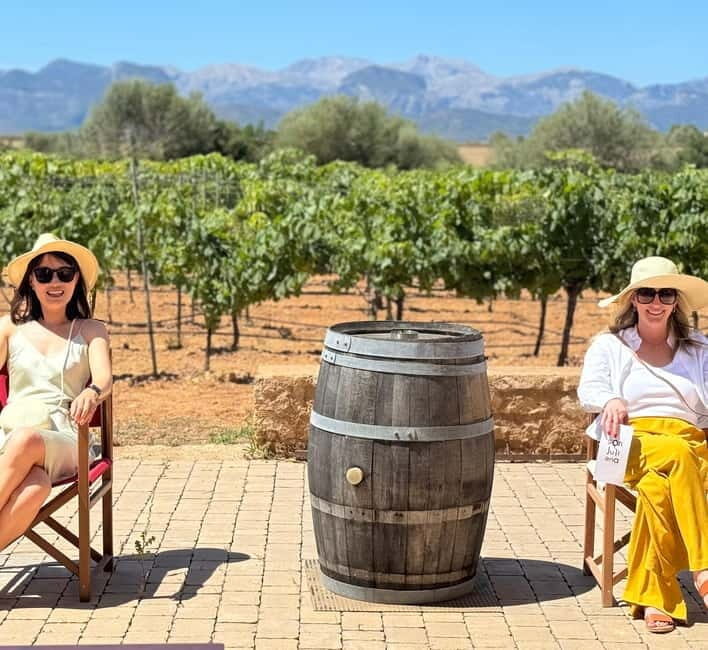 Small group- Exclusive Olive Oil & Wine Tour Mallorca - The Itinerary in Detail