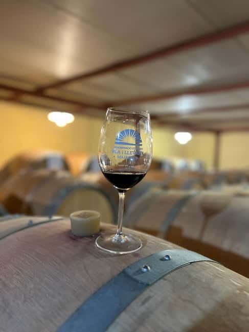 Small group- Exclusive Olive Oil & Wine Tour Mallorca - FAQ