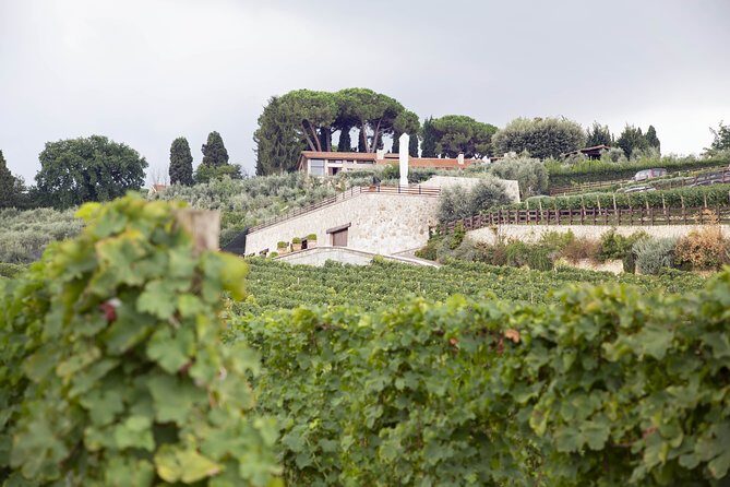 Small-Group Exclusive Winery and Wine Tasting Tour in Frascati - Final Thoughts