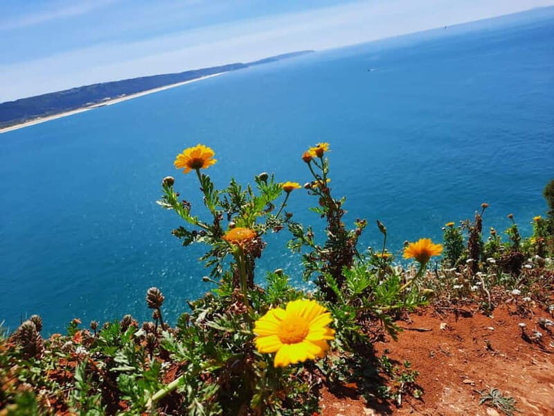 Small Group Excursion to Nazaré, Alcobaça and Obidos from Lisbon - FAQs