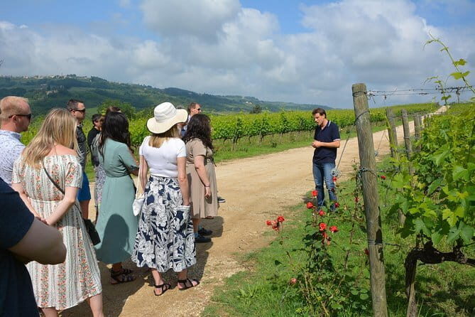 SMALL GROUP Experience Cheese & Chianti visit dairy & 3 wineries - What Makes This Tour Special