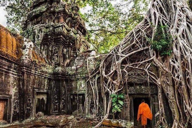 Small-Group Explore Angkor Wat Sunrise Tour with Guide - Authentic Experiences and Feedback from Travelers