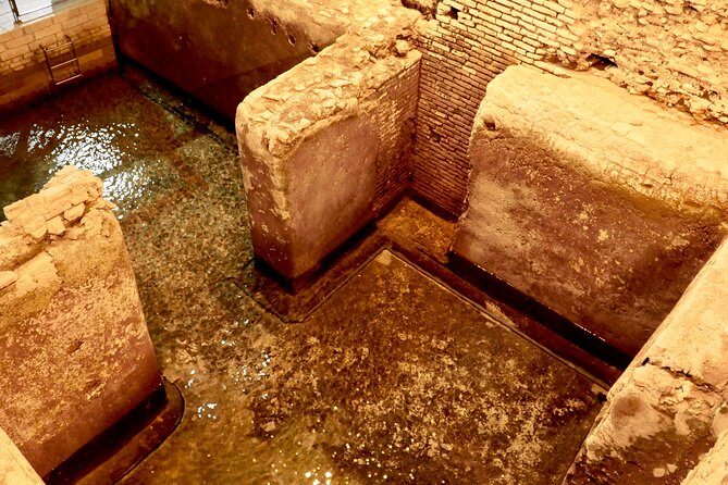 Small-Group Express Tour of Trevi Fountain with Undergrounds - The Verdict: Is It Worth It?