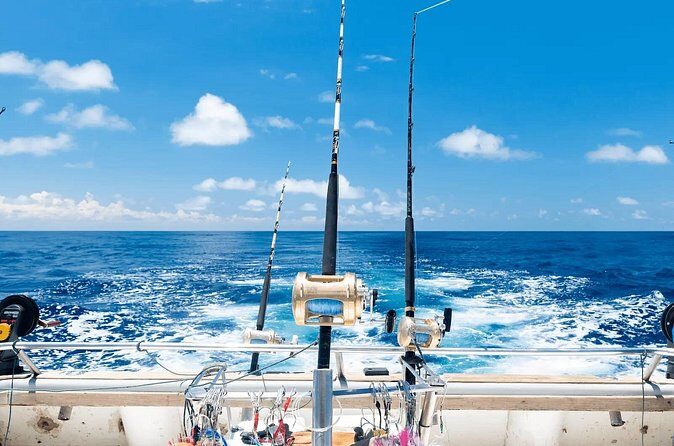 Small Group Fishing Tour in Bavaro - What Makes This Fishing Tour Stand Out?