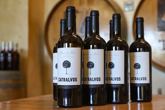 Small Group Full-Day Arrábida Wine Tour and Food Tasting - Key Points