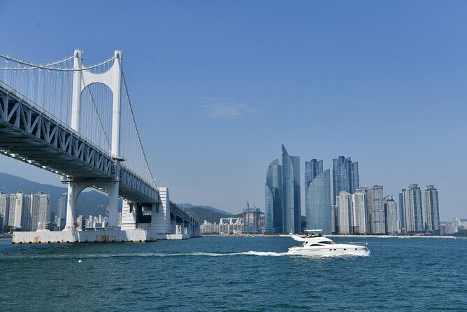 Small Group Full Day Busan Tour (Max 6 Pax) - Reader Insights from Reviews