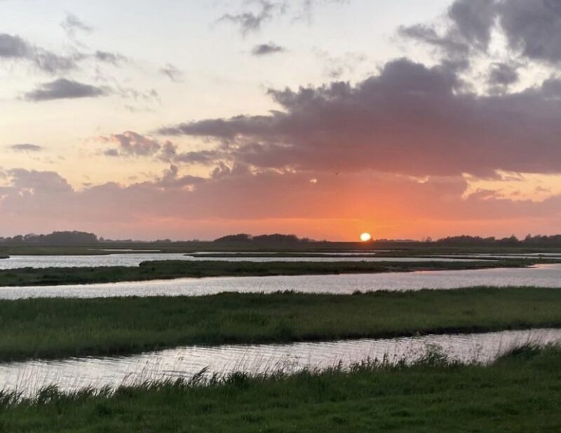 Small group full day island tour to Texel from Amsterdam - An Introduction to the Texel Island Tour