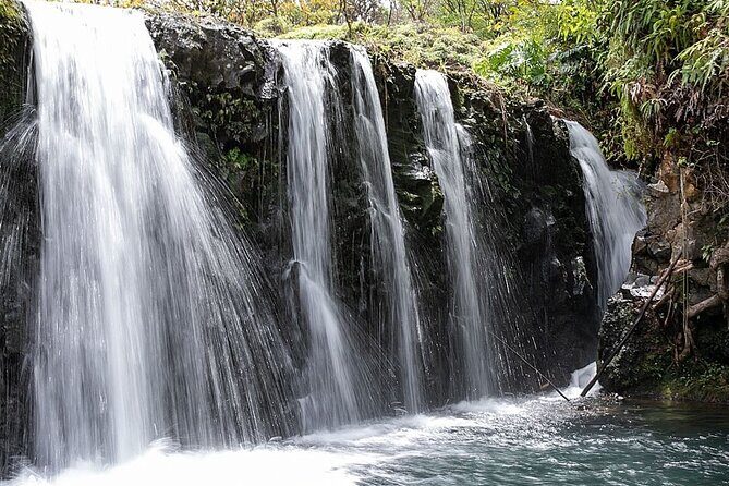 Small Group Full Day Road to Hana Adventure - Who Should Consider This Tour?