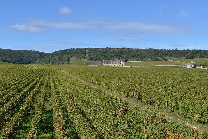 Small-Group Full-Day Tour of Côte de Nuits, Côte de Beaune Vineyards and Beaune Historical District - An In-Depth Look at the Burgundy Wine Tour Experience