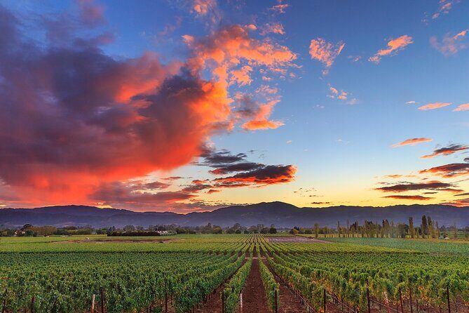 Small-Group Giant Redwoods and Russian River Wine Country Trip - An In-Depth Look at the Tour Experience
