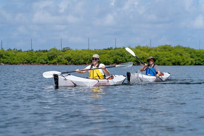 Small Group Glass Bottom Kayak Adventure- Cayman Islands - An In-Depth Look at the Glass Bottom Kayak Tour