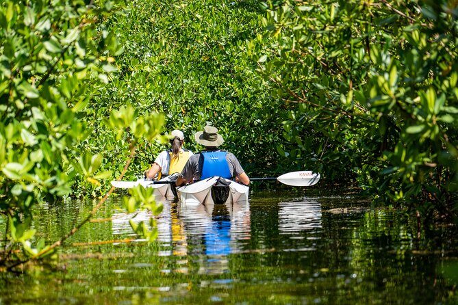 Small Group Glass Bottom Kayak Adventure- Cayman Islands - Who Should Book This Tour?