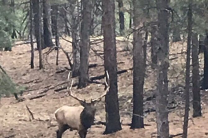 Small Group Grand Canyon Day Trip from Sedona - The Sum Up: Is It Worth It?