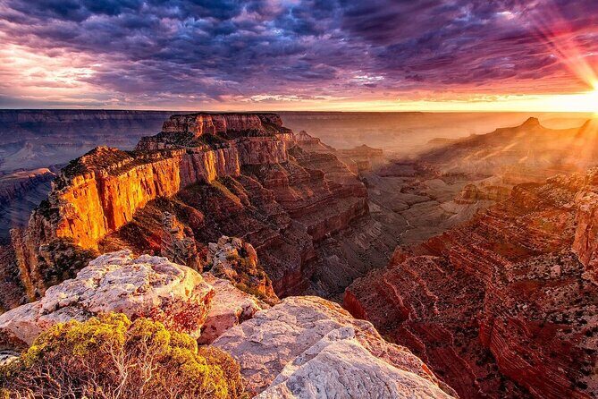 Small Group Grand Canyon, Hoover Dam and Joshua Tree Forest Tour - Introduction