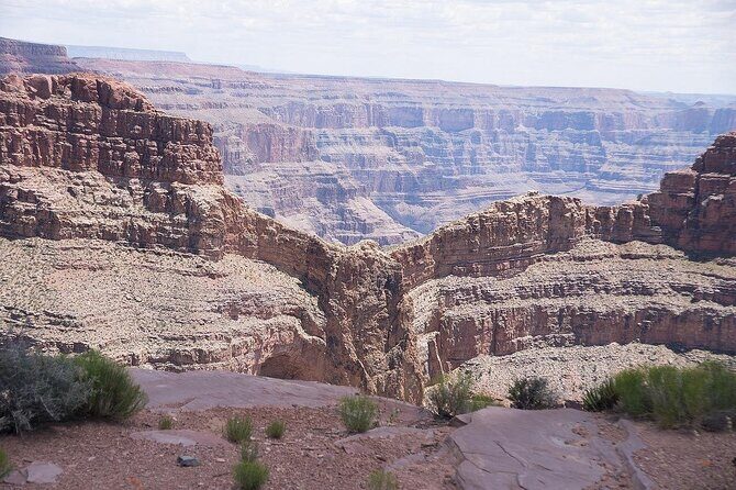 Small Group Grand Canyon, Hoover Dam and Joshua Tree Forest Tour - Final Impressions and Who Will Love This Tour