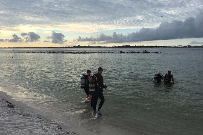 Small Group Guided Shore Dives in St. Andrews State Park, Florida - Why a Shore Dive Makes Sense