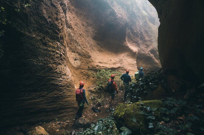 Small-Group Half-Day Canyoning in La Orotava - Key Points