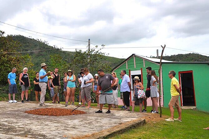 Small Group: Half-Day Cultural Tour of Punta Cana - Reviews and Feedback