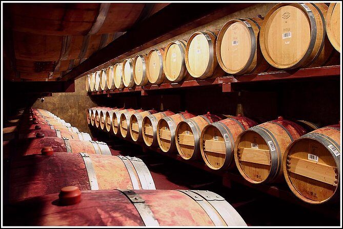 Small Group - Half-Day Hawke's Bay Winery Tour - Key Points