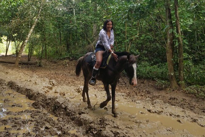 Small-Group Half-Day Horseback Riding Tour from Punta Cana - Why This Tour Offers Great Value