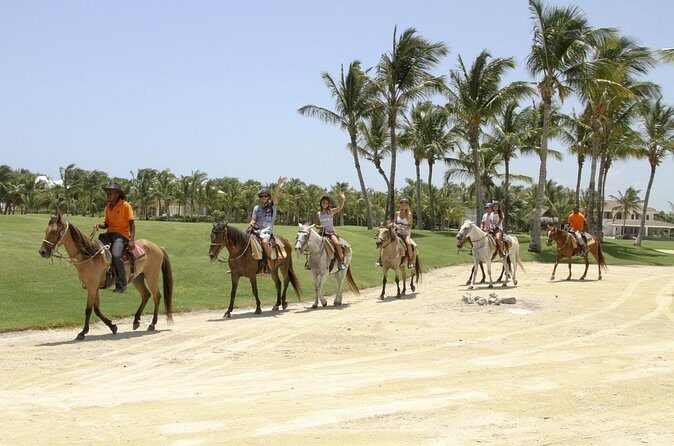 Small-Group Half-Day Horseback Riding Tour from Punta Cana - FAQs about the Small-Group Half-Day Horseback Riding Tour from Punta Cana