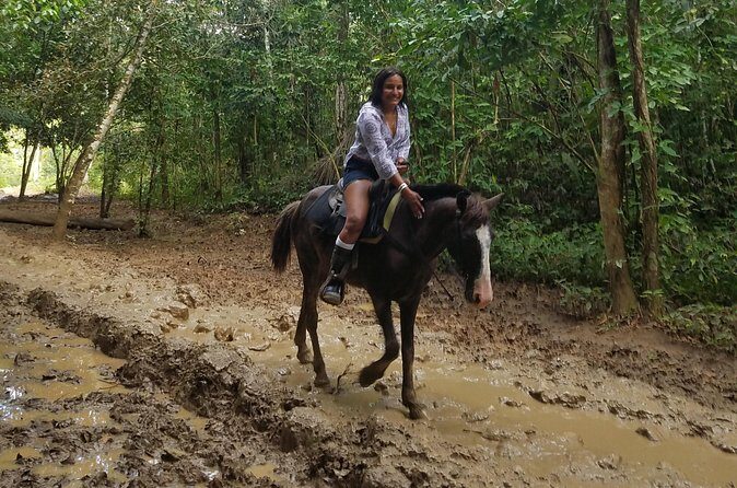 Small-Group Half-Day Horseback Riding Tour from Punta Cana - Final Thoughts