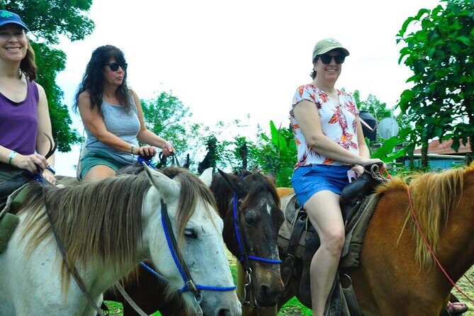 Small Group: Half Day Punta Cana Cultural Tour - The Guide and Overall Experience