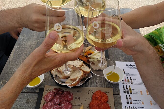 Small Group - Half-Day Wine Tour - A Practical, Authentic Taste of Valencia’s Wine Culture