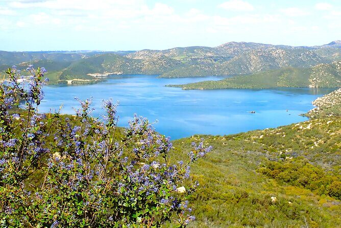 Small Group Hike Through San Diego's Heart and Soul - An In-Depth Look at the Experience