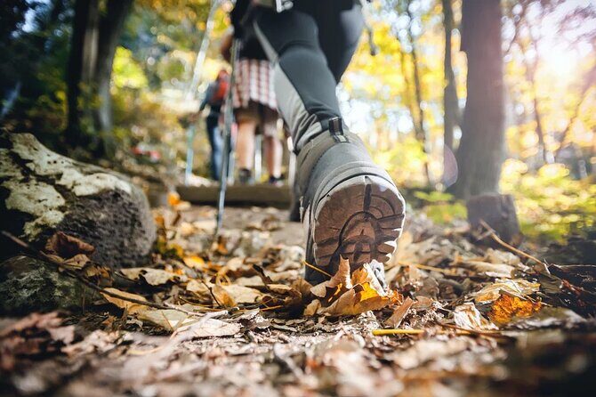 Small Group Hiking Around The Pinecrest Lake Trail - What to Expect on the Trail