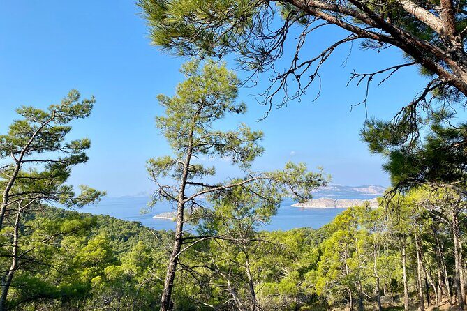 Small group hiking between the beach and Kritinia Castle - The Itinerary: A Walk through Rhodes’ Scenic Landscape and History