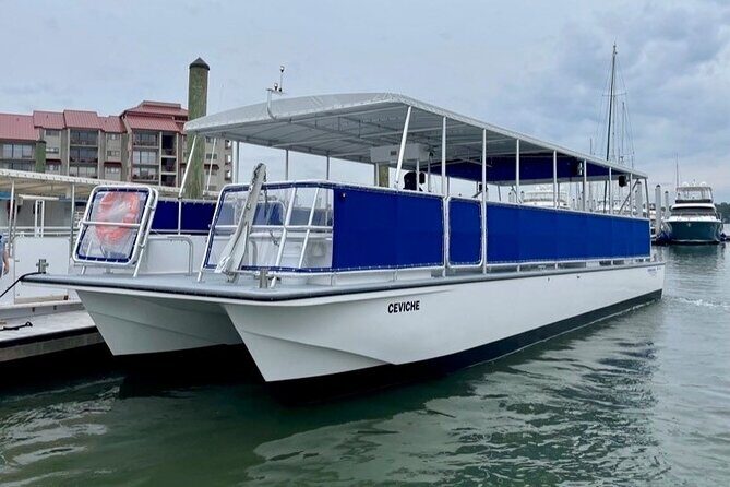 Small Group Hilton Head Morning Dolphin and Donut Cruise - Who Should Take This Tour?