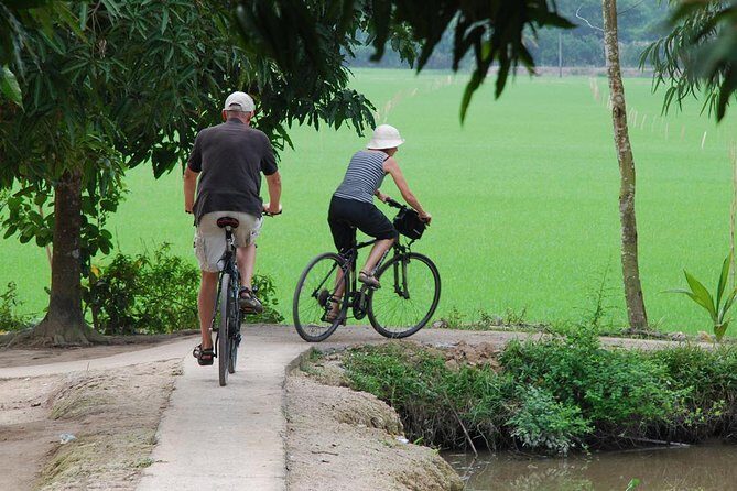 Small-Group Hoa Lu - Tam Coc Day Tour from Hanoi - What to Expect in Terms of Experience and Value