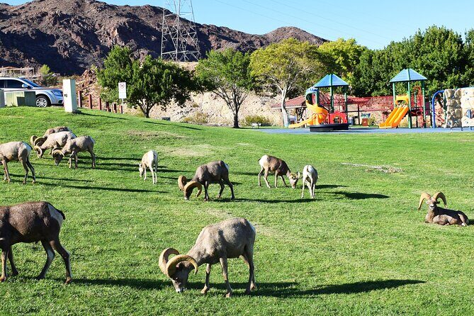 Small-Group Hoover Dam Tour from Las Vegas - Authentic Reviews to Keep in Mind