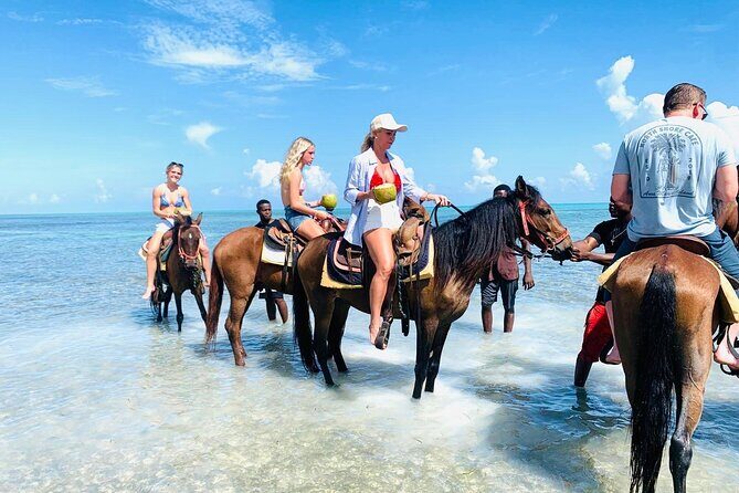 Small Group Horseback Riding Adventure in Caicos Islands - The Value of This Tour