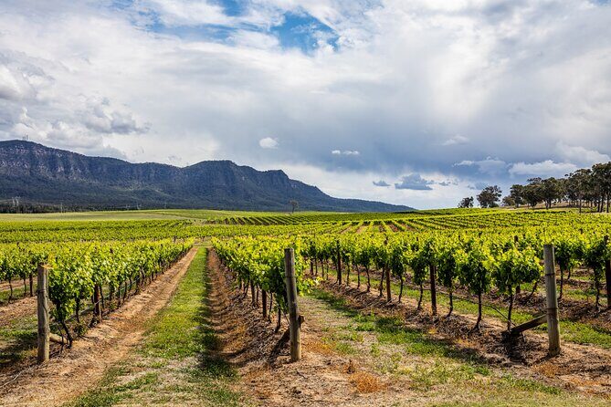 Small-Group Hunter Valley Wine Tasting Tour from Sydney - Comprehensive Review of the Small-Group Hunter Valley Wine Tasting Tour from Sydney