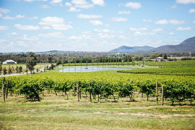 Small-Group Hunter Valley Wine Tasting Tour from Sydney - Key Points
