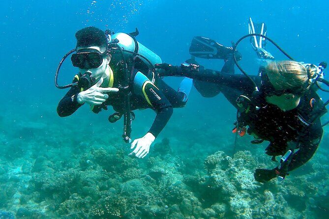 Small-Group Introductory Scuba Diving in Pula - Cost, Value, and What You Get
