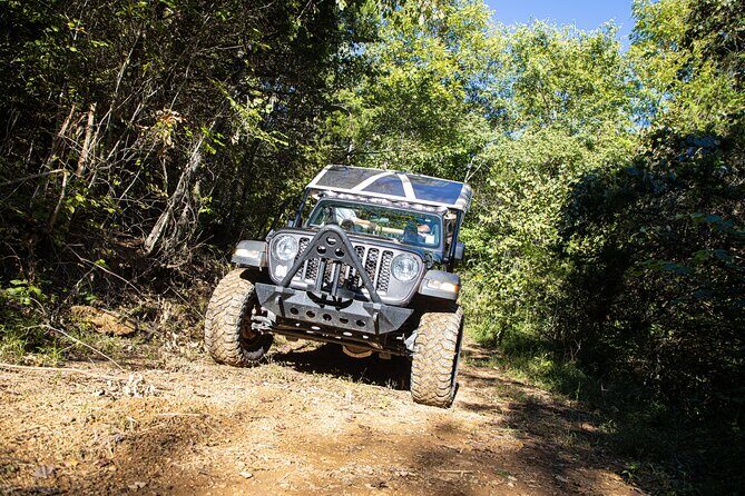 Small-Group Jeep Tour of Smoky Mountains Foothills Parkway - Scenic Drive Along Foothills Parkway
