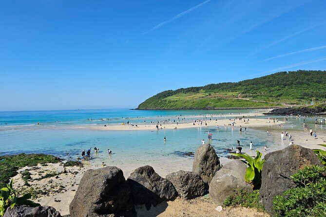 Small group Jeju private Full-Day Tour of East and South and West - Key Points