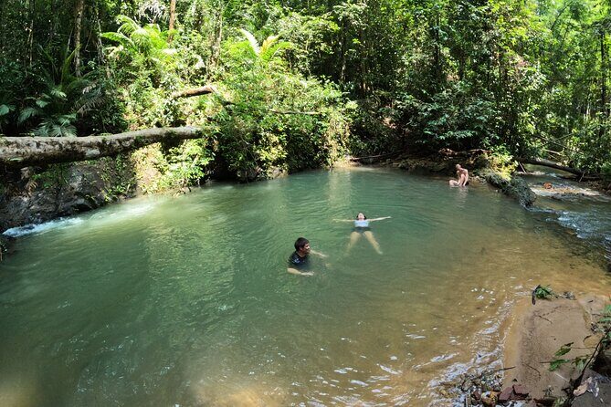 Small-Group Jungle Hiking Excursion in Khao Phra Teaw Park - Who Might Want to Skip It?