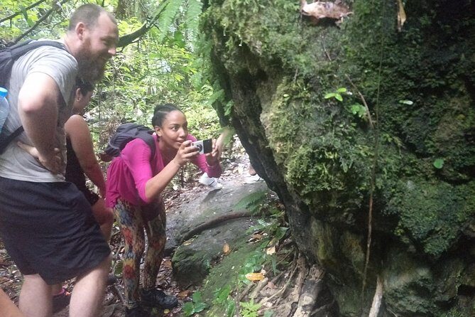 Small-Group Jungle Hiking Excursion in Khao Phra Teaw Park - Final Thoughts