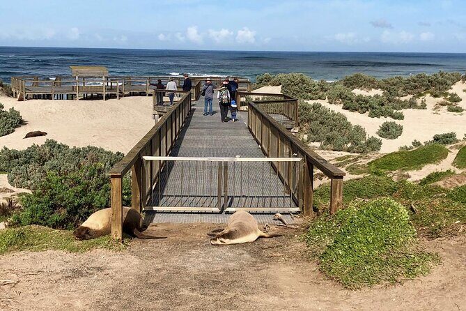 Small Group Kangaroo Island Tour - Best of KI - Overview: What to Expect from This KI Adventure