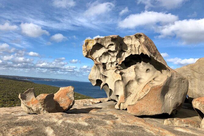 Small Group Kangaroo Island Tour - Best of KI - The Value of This Tour