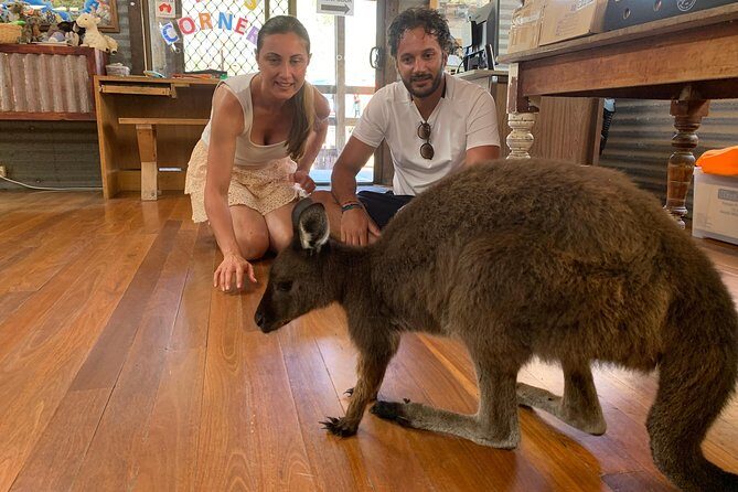 Small Group Kangaroo Island Tour - Dudley Peninsula - Frequently Asked Questions