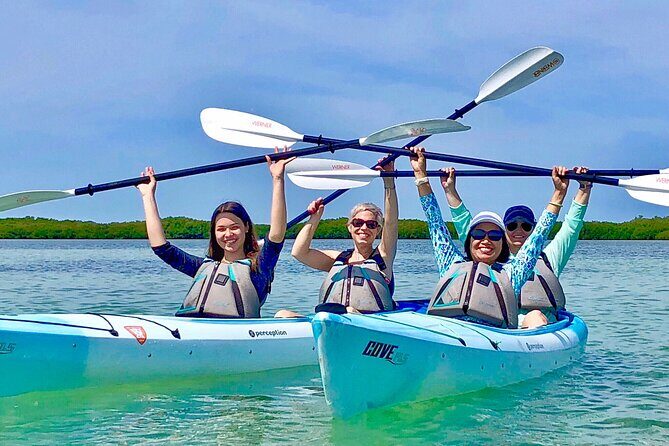 Small Group Kayak Tour of the Shell Key Preserve - The Experience in Detail